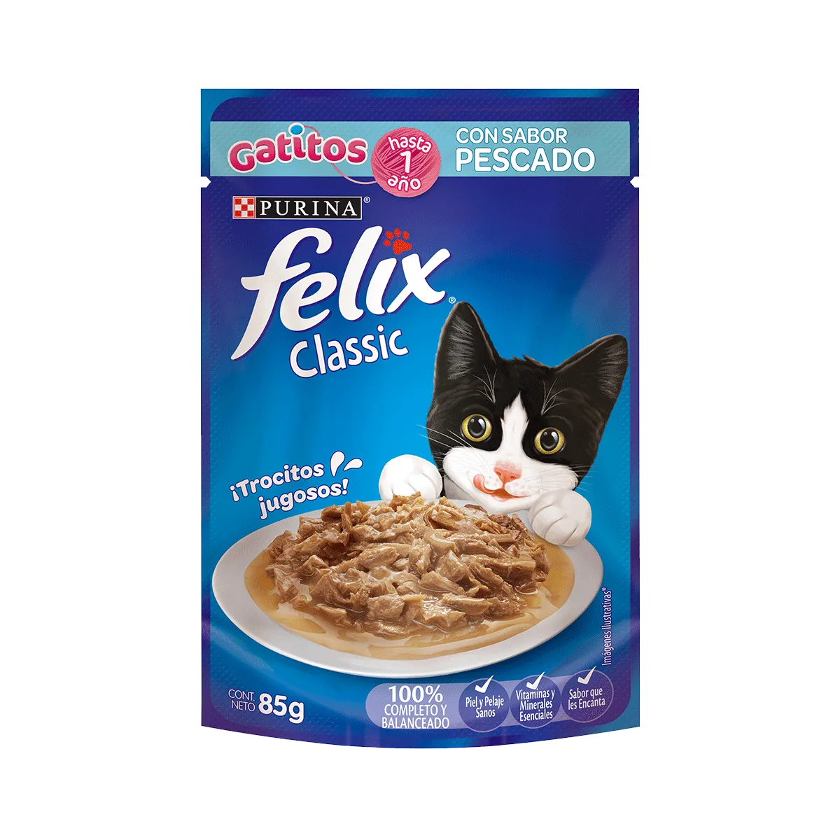 Gatitos Con Pescado Felix Gatitos Con Pescado Felix